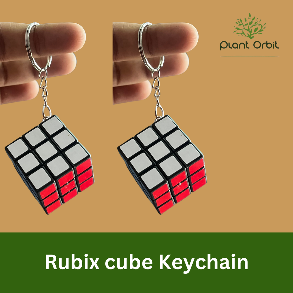 Rubix Cube Keychain (K-171) – Plant Orbit