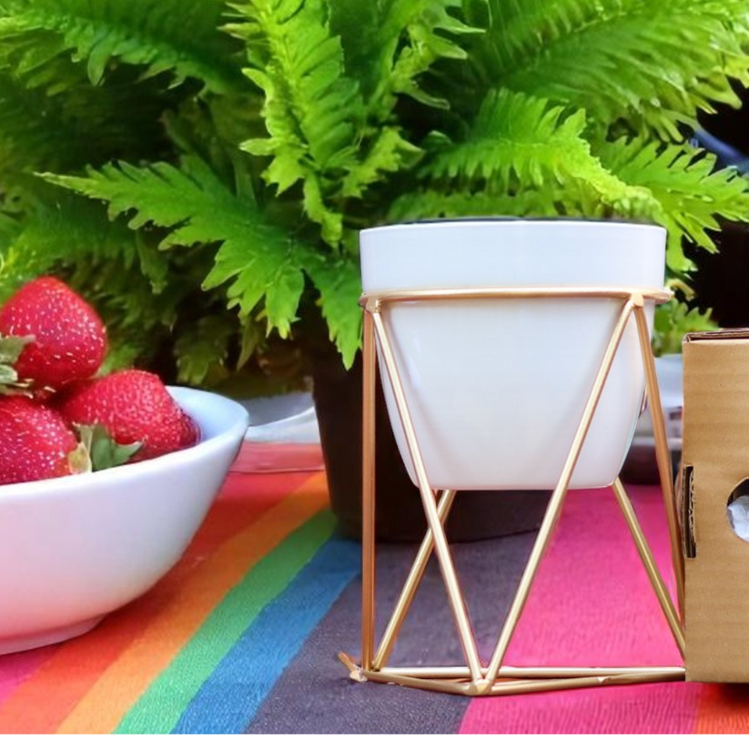 White Planter in Golden Stand – Buy Elegant Flower Pot – Plant Orbit