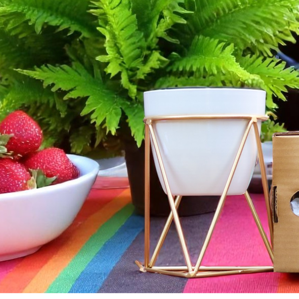 White Planter in Golden Stand – Buy Elegant Flower Pot – Plant Orbit