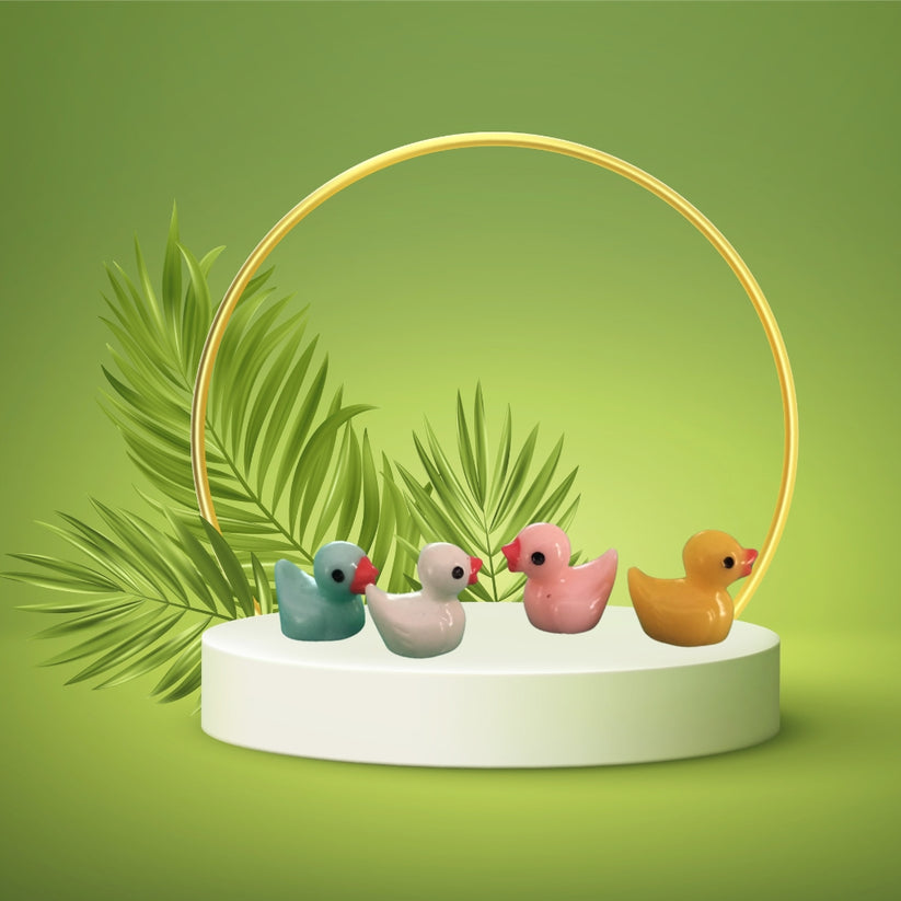 COLOURED DUCK MINIATURE (M-118) – Plant Orbit