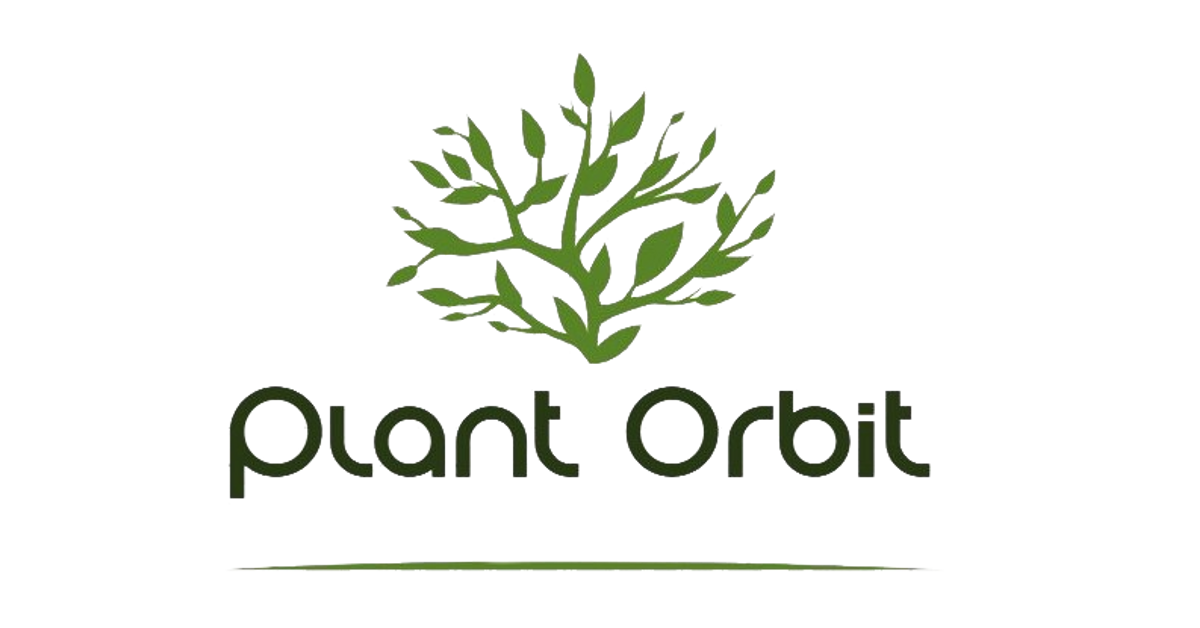 Artificial Flowers – Plant Orbit